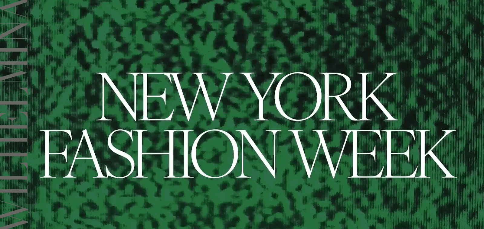 Best Plus Size Modeling Agencies | Schools For Modeling